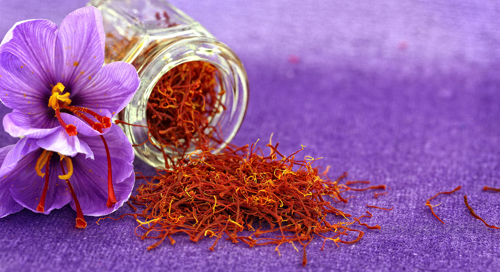 - www.zinzino.com - Zinzino